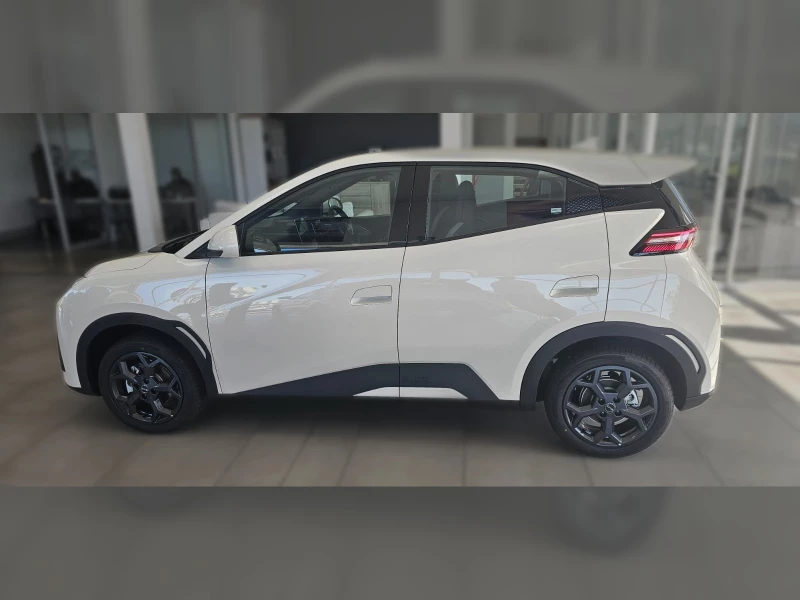 New BYD DOLPHIN SURF DYNAMIC For Sale in East London | Cream White | R ...